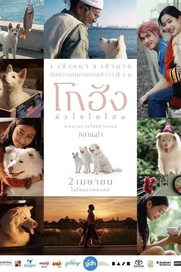 Thai Movie 'Gohan': Heartwarming Story of a Stray Dog